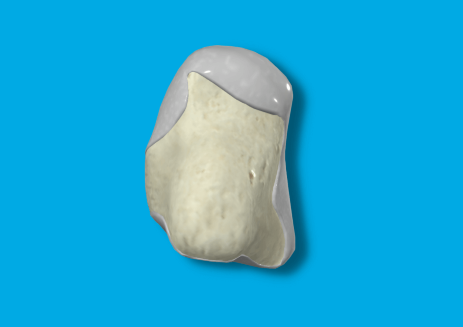 ️ Hueso Ganchoso | HUESOS CUERPO HUMANO