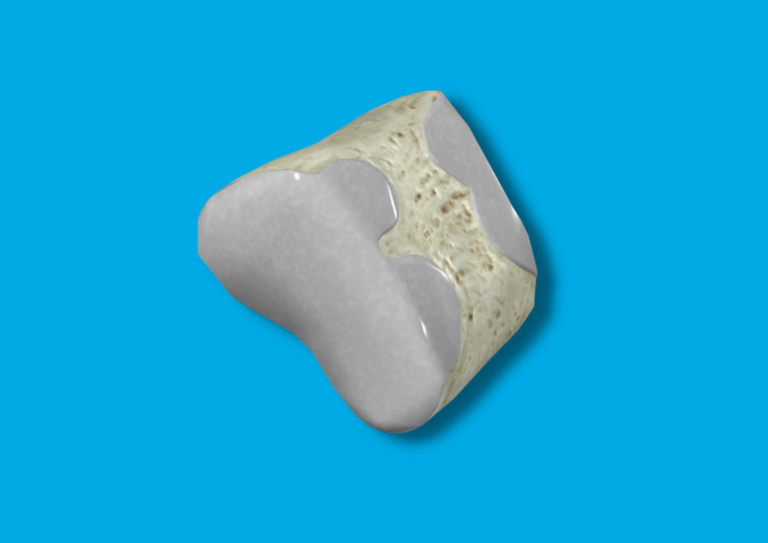 ️ Hueso Cuboides | HUESOS CUERPO HUMANO