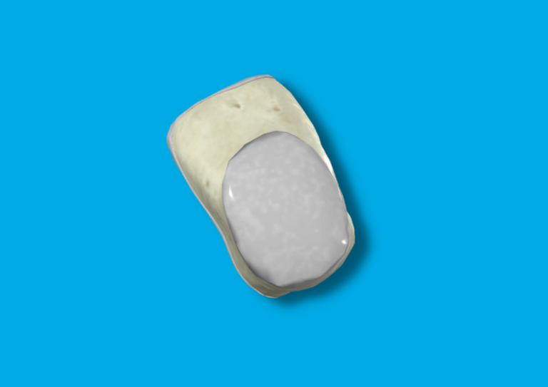 ️ Falanges de la mano | HUESOS CUERPO HUMANO